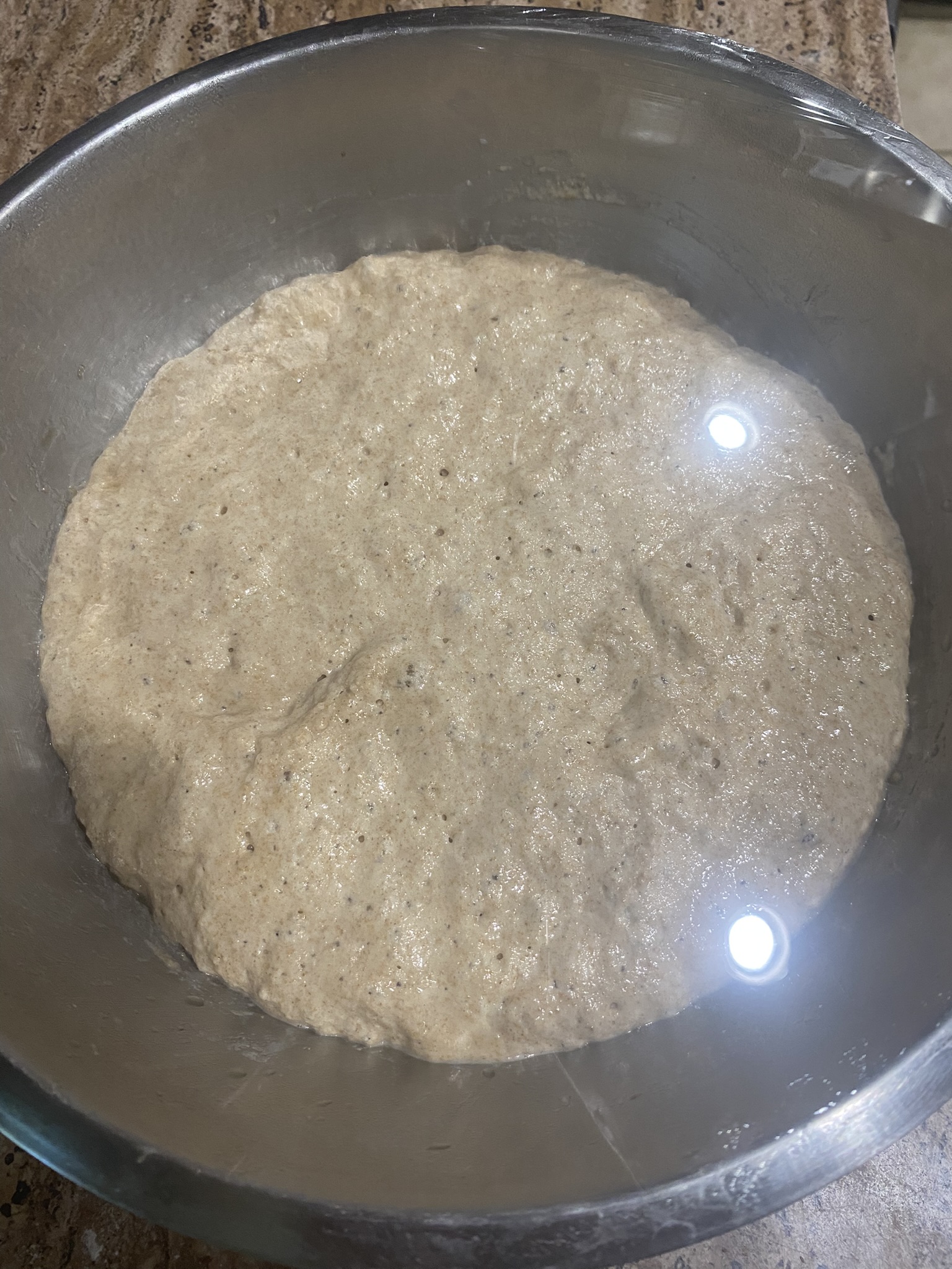 Honey Wheat Loaf – Let Conrad Cook